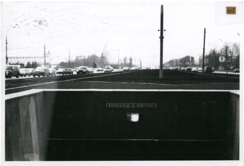 Enter the Metro - Cutleaf Journal